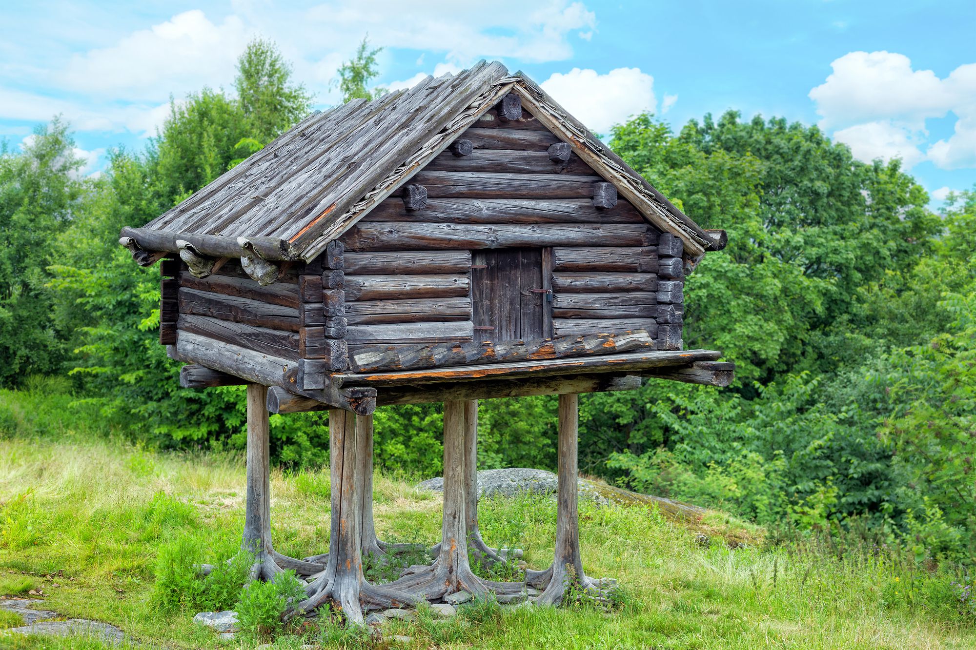 Skansen & Other Top Photo Spots in Stockholm | Localgrapher