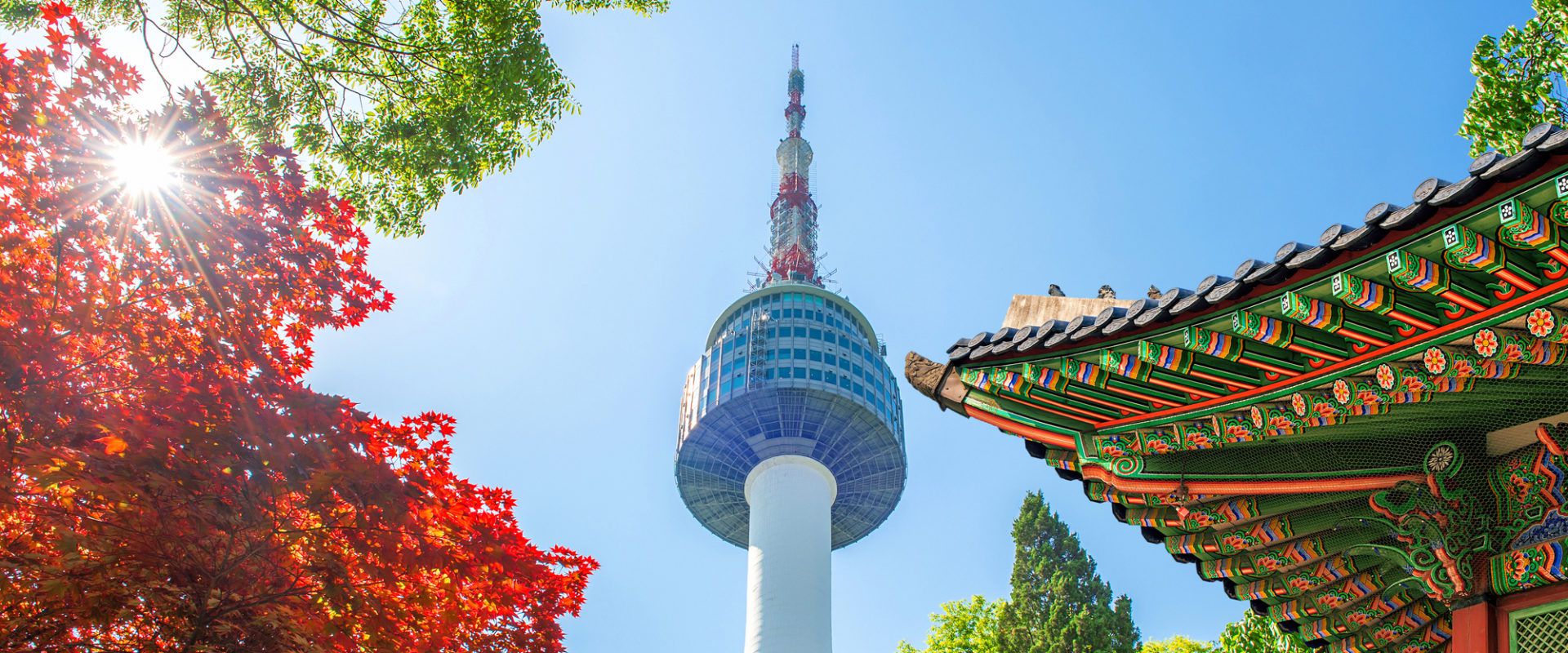 Best Photo and Photography Spots in Seoul | Localgrapher