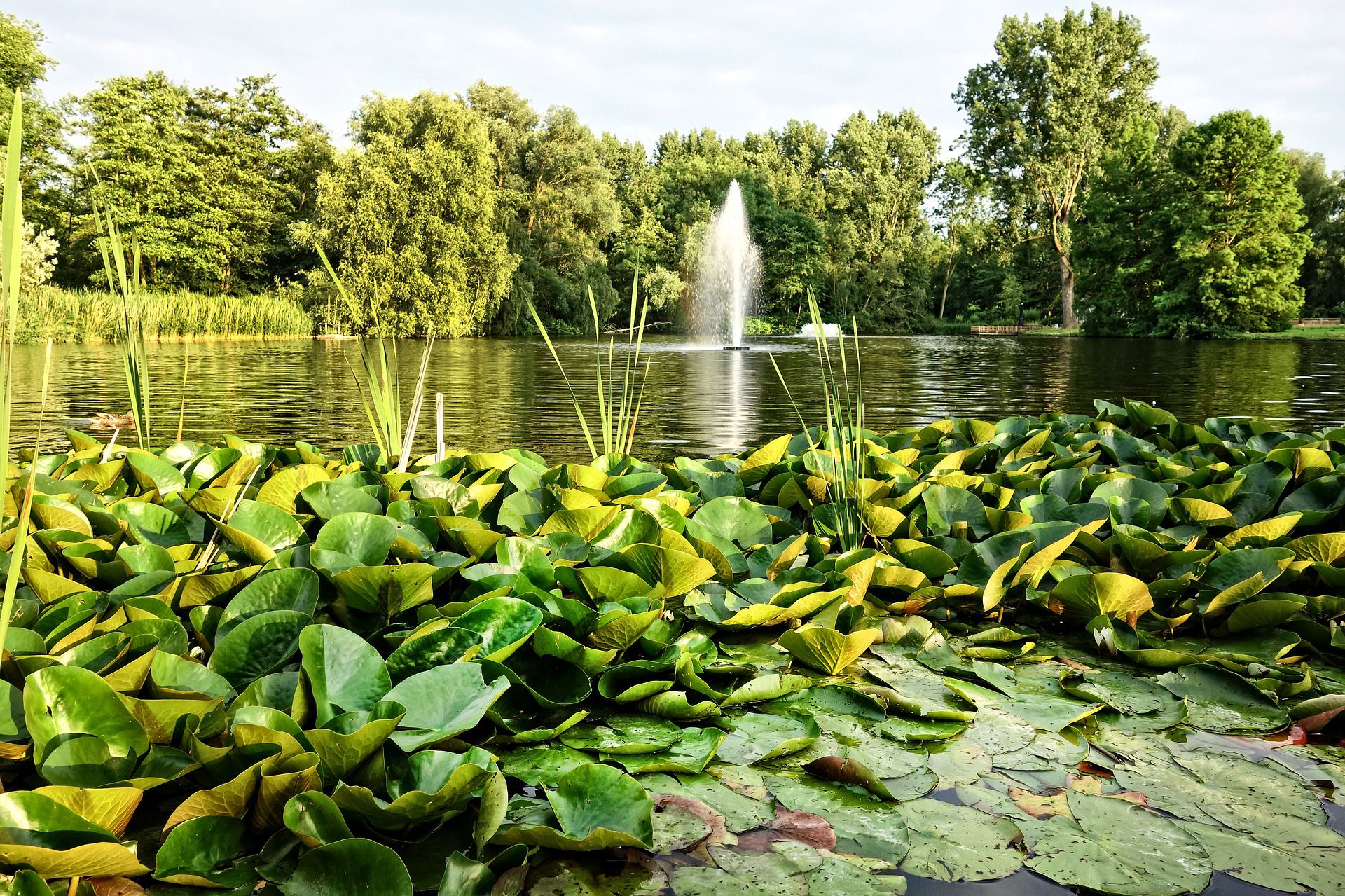 Amstel Park & Other Top Photo Spots in Amsterdam | Localgrapher