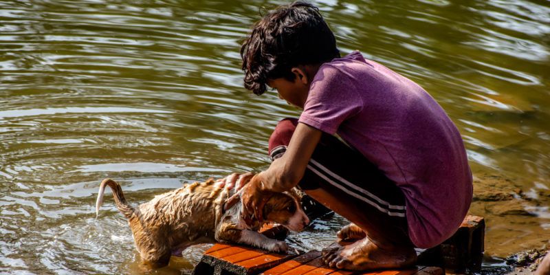 Hire a Best Professional Photographer in Bangladesh | Localgrapher