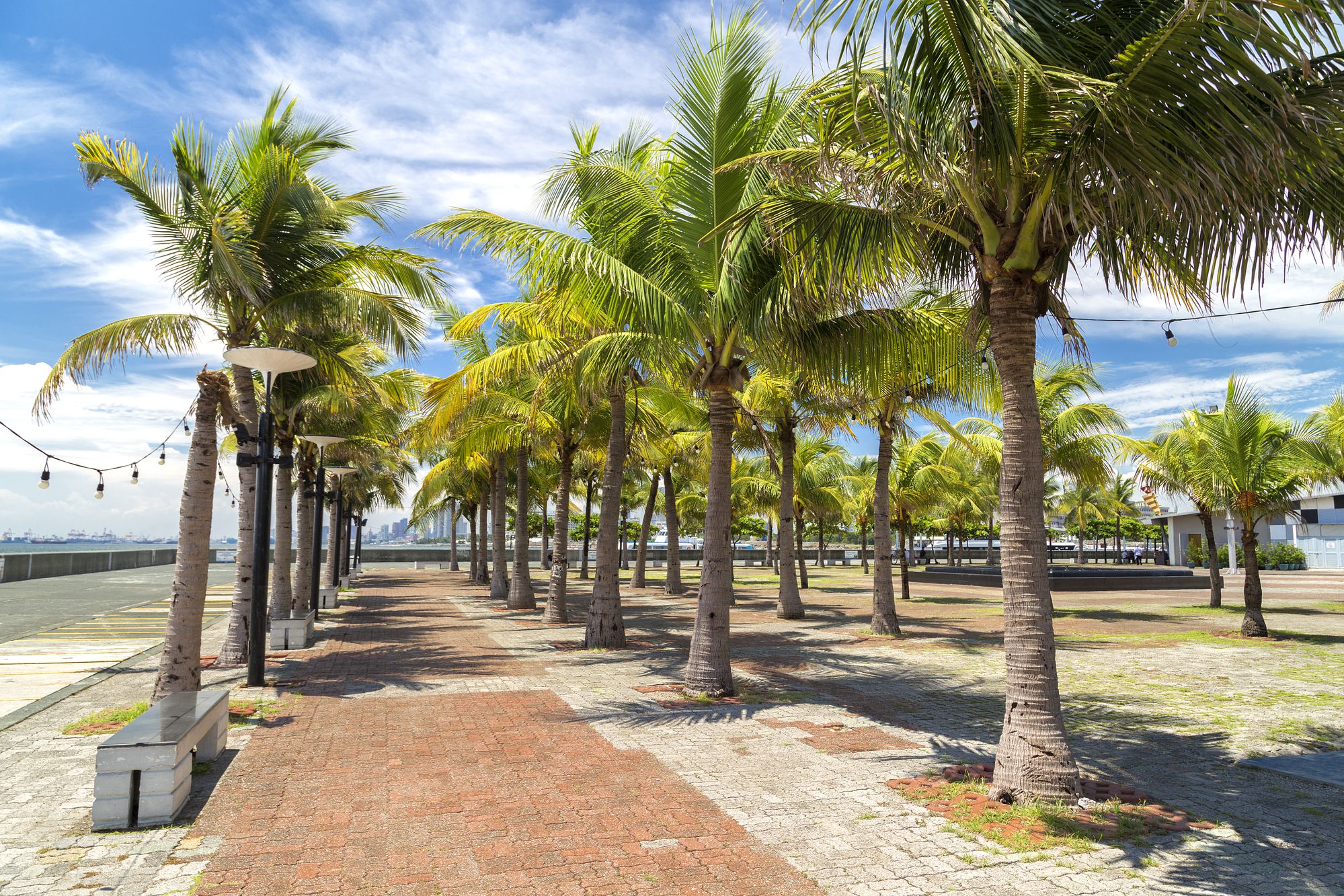 Baywalk & Other Top Photo Spots in Manila | Localgrapher