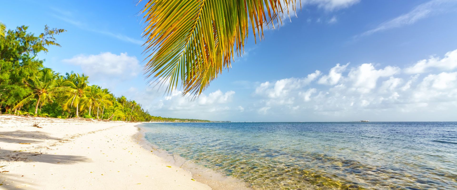 Best Photo and Photography Spots in Punta Cana | Localgrapher