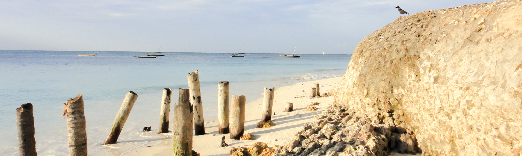 Nungwi Beach & Other Top Photo Spots in Zanzibar | Localgrapher
