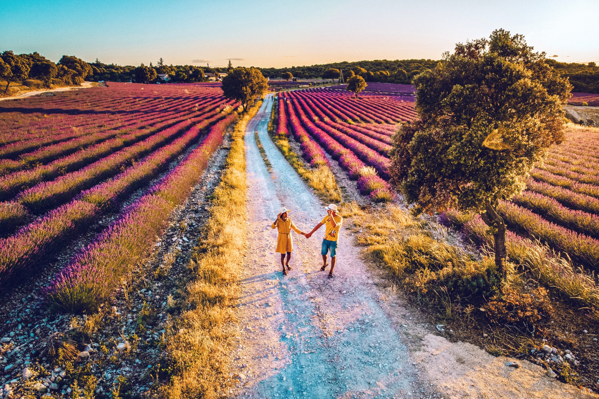 20 Places Around the Globe Where You Capture The Most Beautiful Spring ...