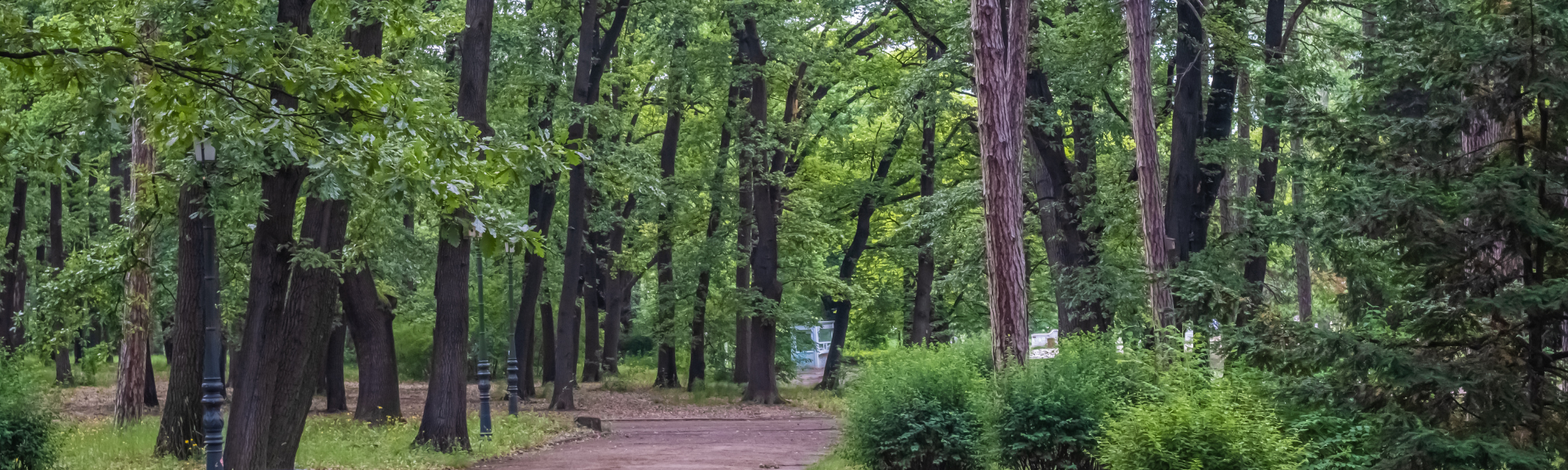 Borisova Gradina Park & Other Top Photo Spots in Sofia | Localgrapher