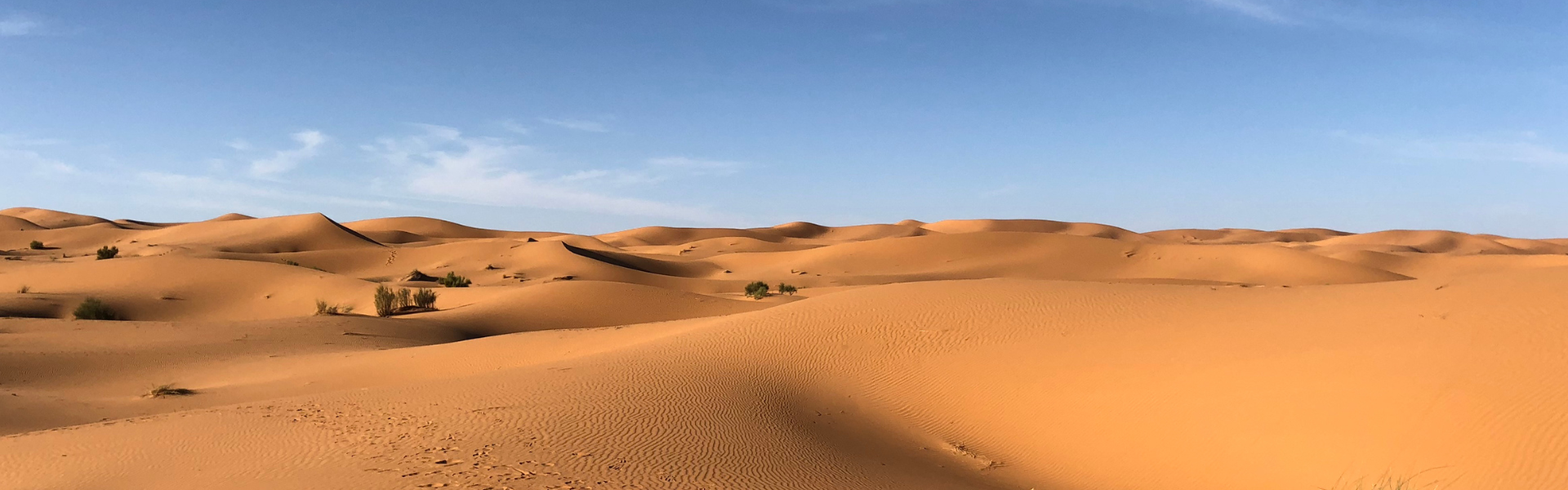 Best Photo and Photography Spots in Qatar | Localgrapher