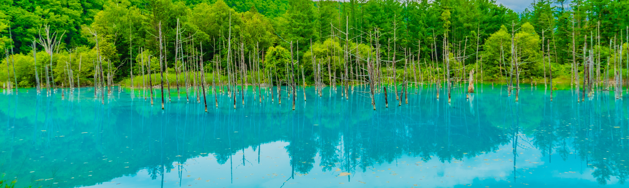 Blue Pond & Other Top Photo Spots in Hokkaido | Localgrapher