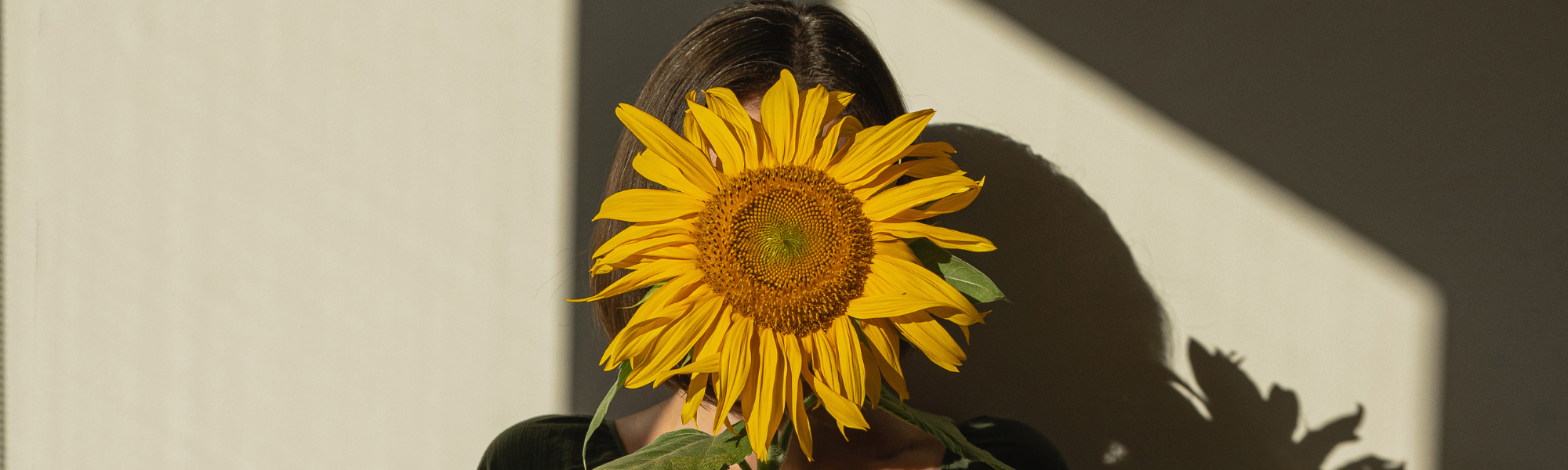 Photo Shoot Light: Top 15 Easy-to-do Ideas - Localgrapher