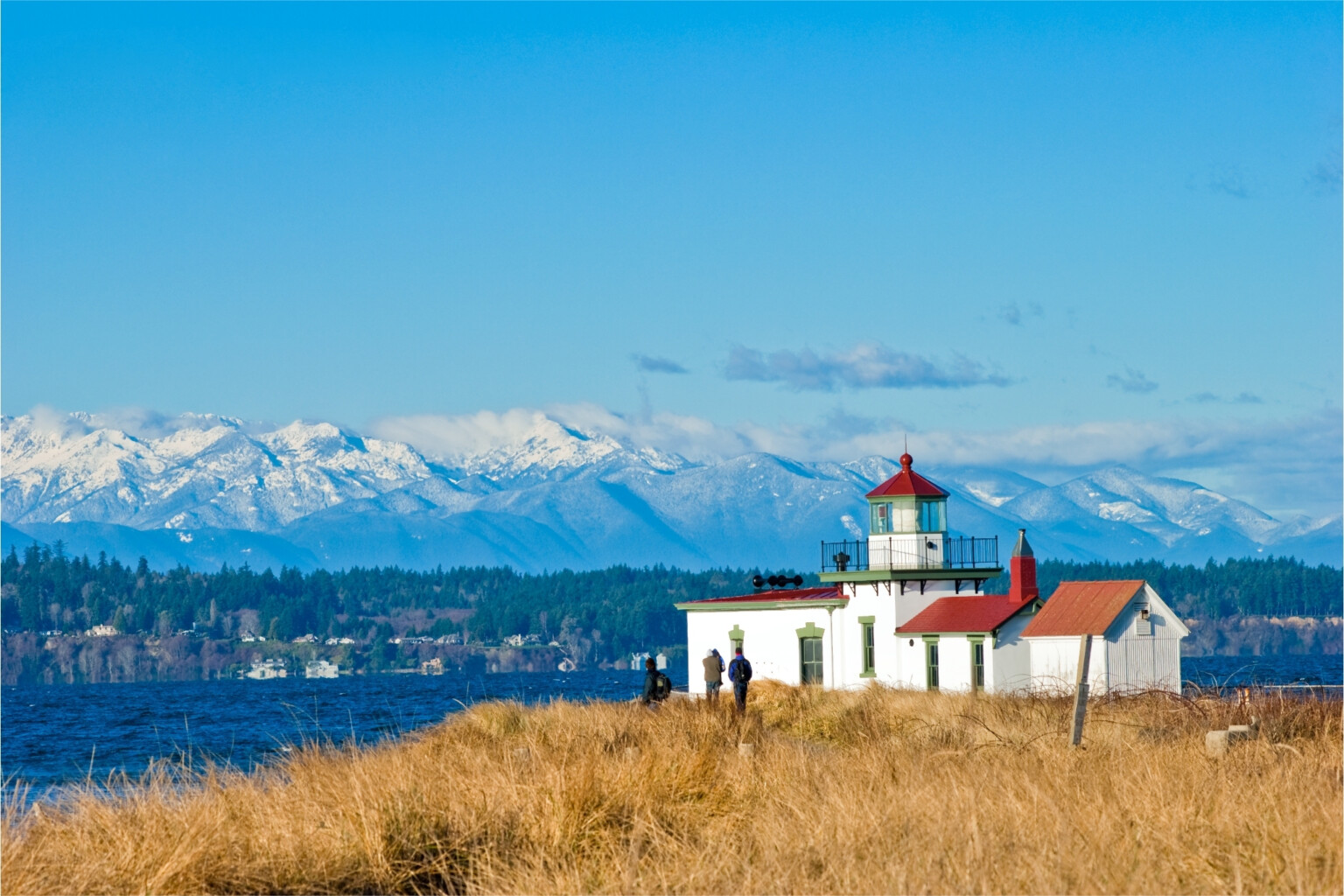 20 Things to Do in Seattle in November - Localgrapher