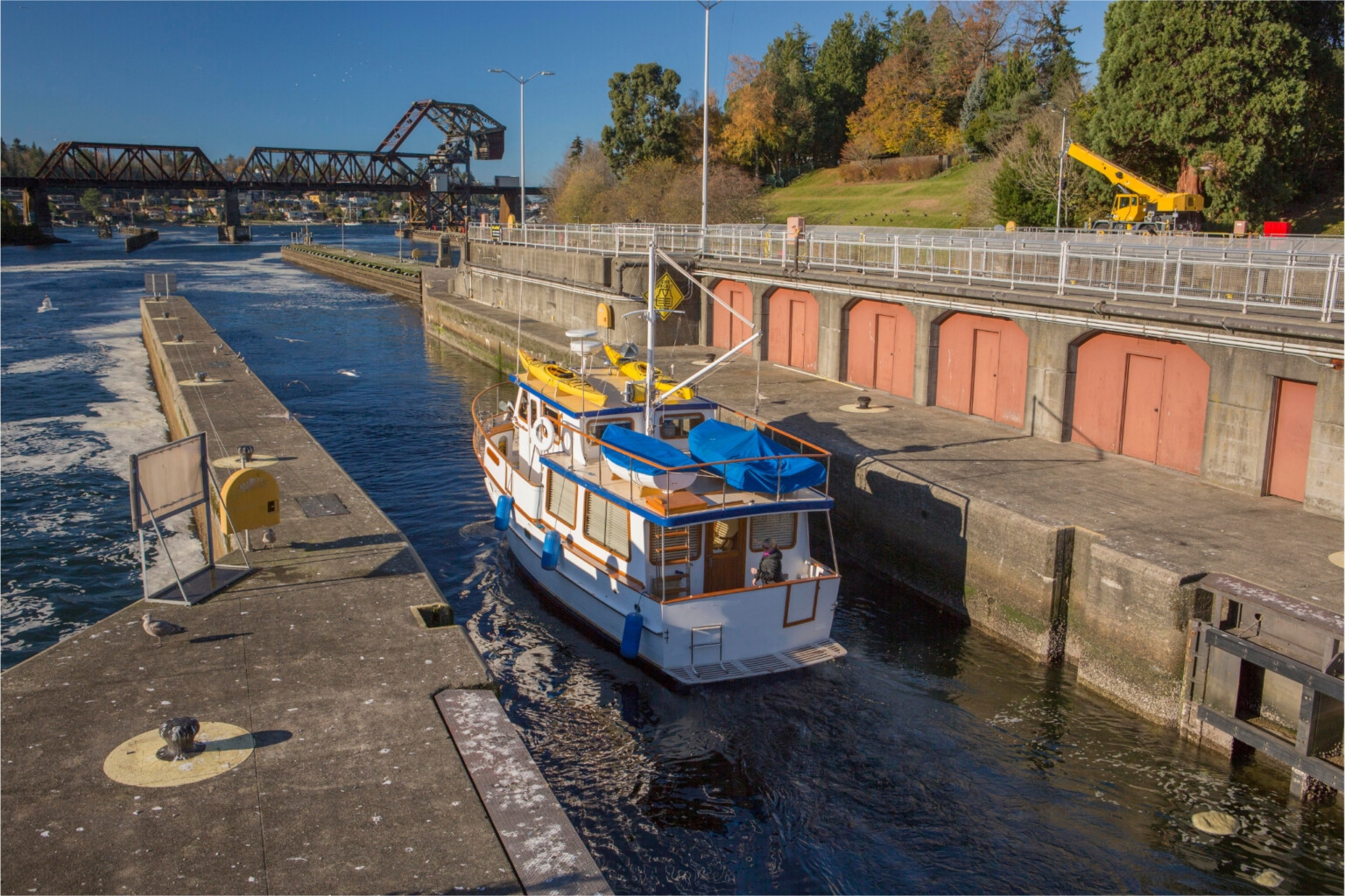 20 Things to Do in Seattle in November - Localgrapher